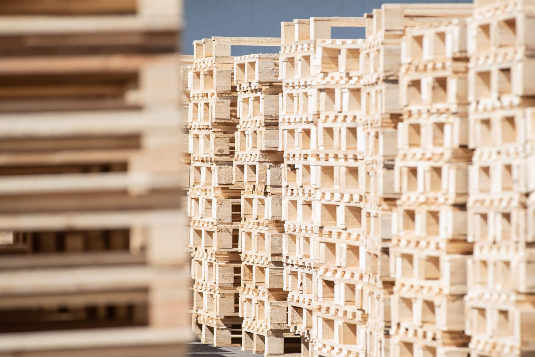 Paletten für jeden Anspruch | Rehm Paletten